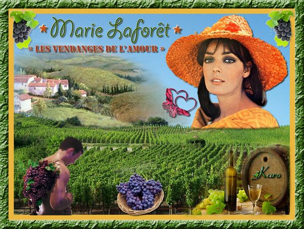 Marie Laforêt - " Les vendanges de l'amour